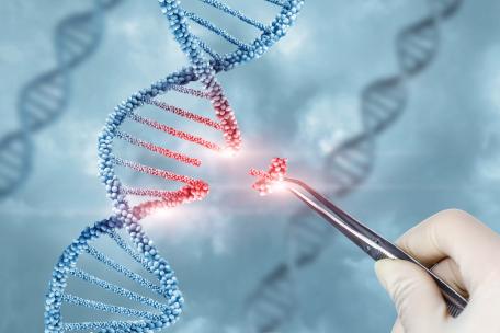 First-in-human study shows potential for personalized gene editing ...