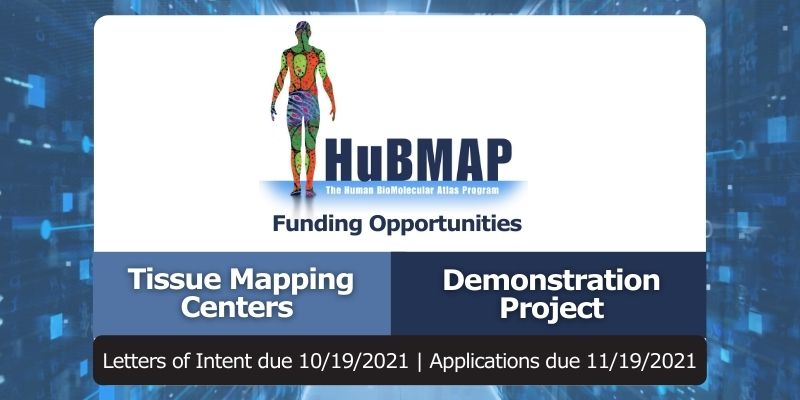The Human BioMolecular Atlas Program - HuBMAP | NIH Common Fund